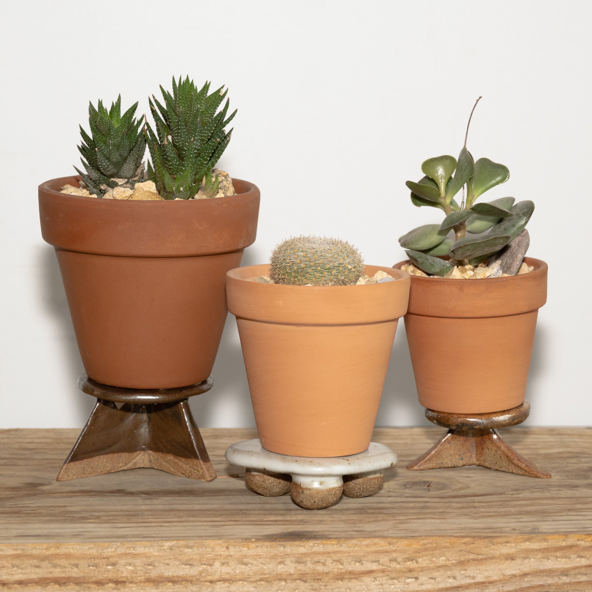 'Little Lift' (Short White) Diana Markessinis – MELLOWIST