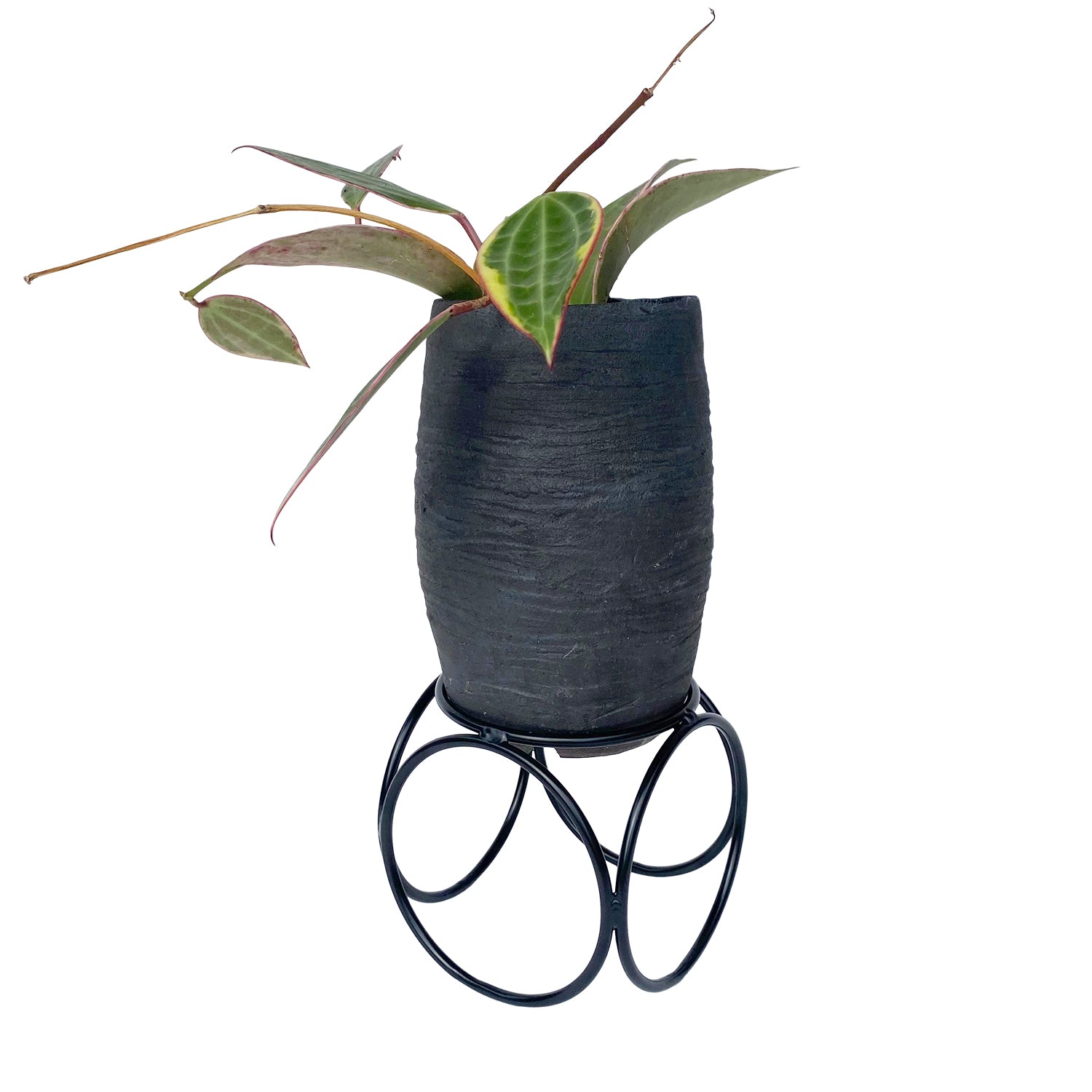 'Desktop Orbit' Plant Stand (Black) – MELLOWIST
