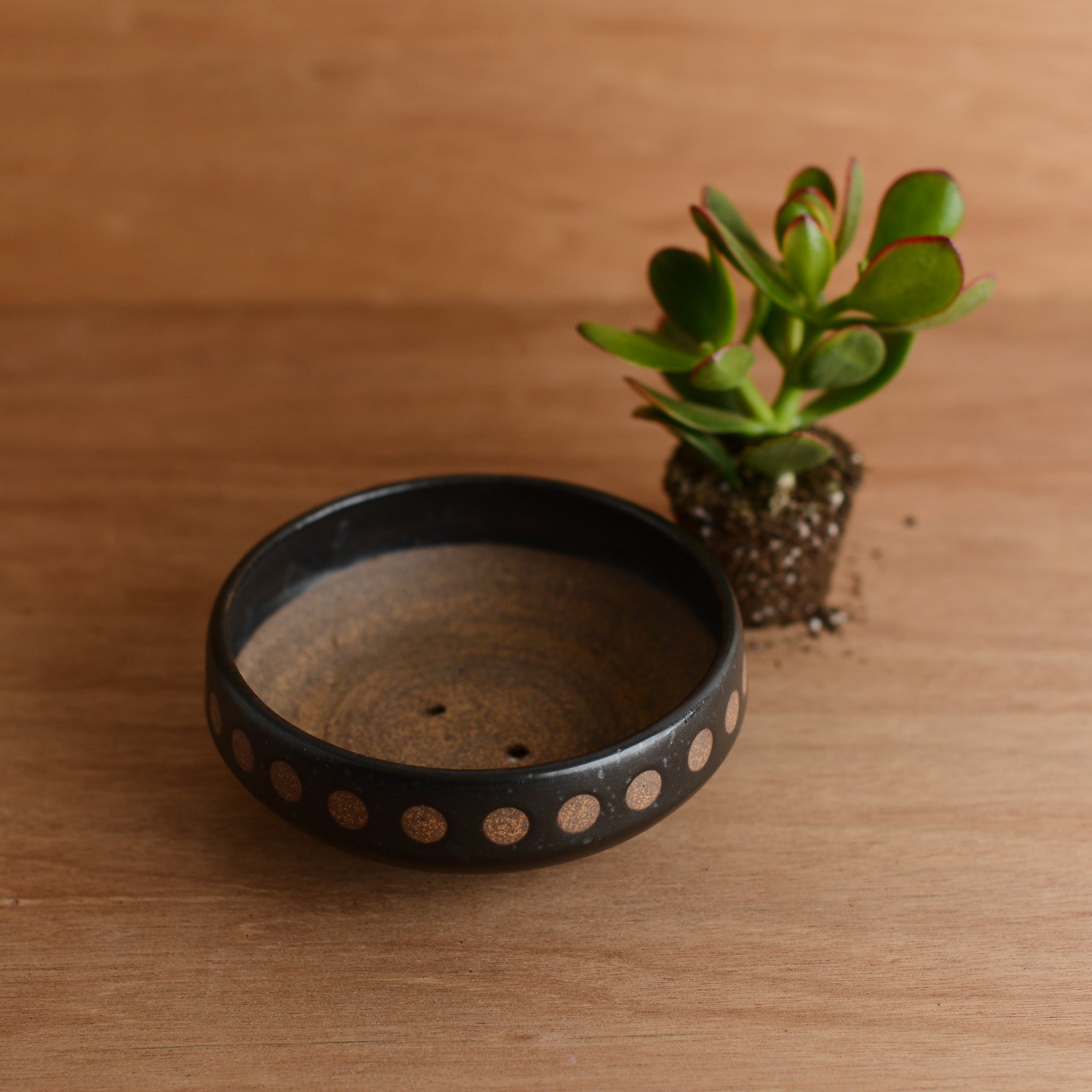 'Dot Stoneware Planter' (Matte Black) Pottery by Emily Davis – MELLOWIST