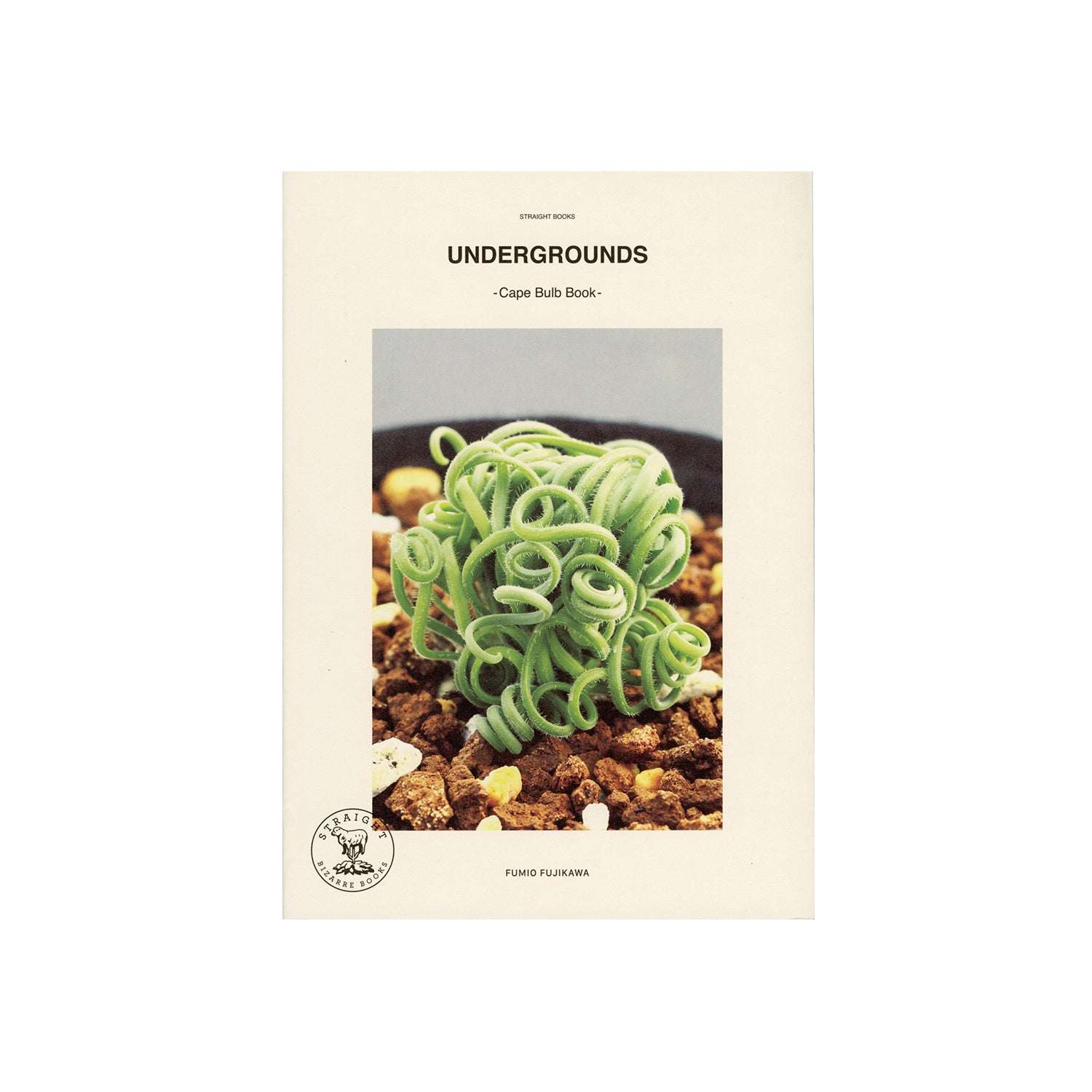 'Underground Bulbs' Japan Import (Book) – MELLOWIST